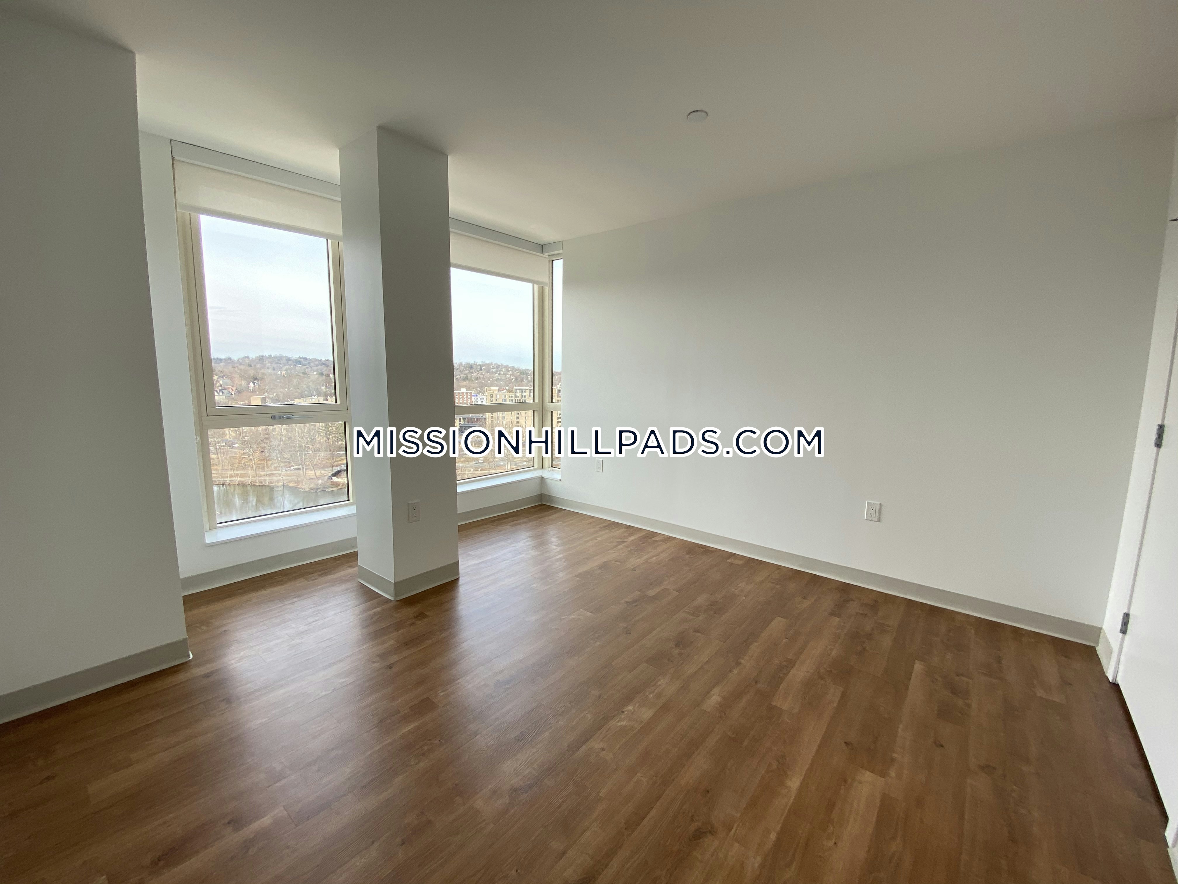 Mission Hill Apartment for rent 1 Bedroom 1 Bath Boston - $3,707