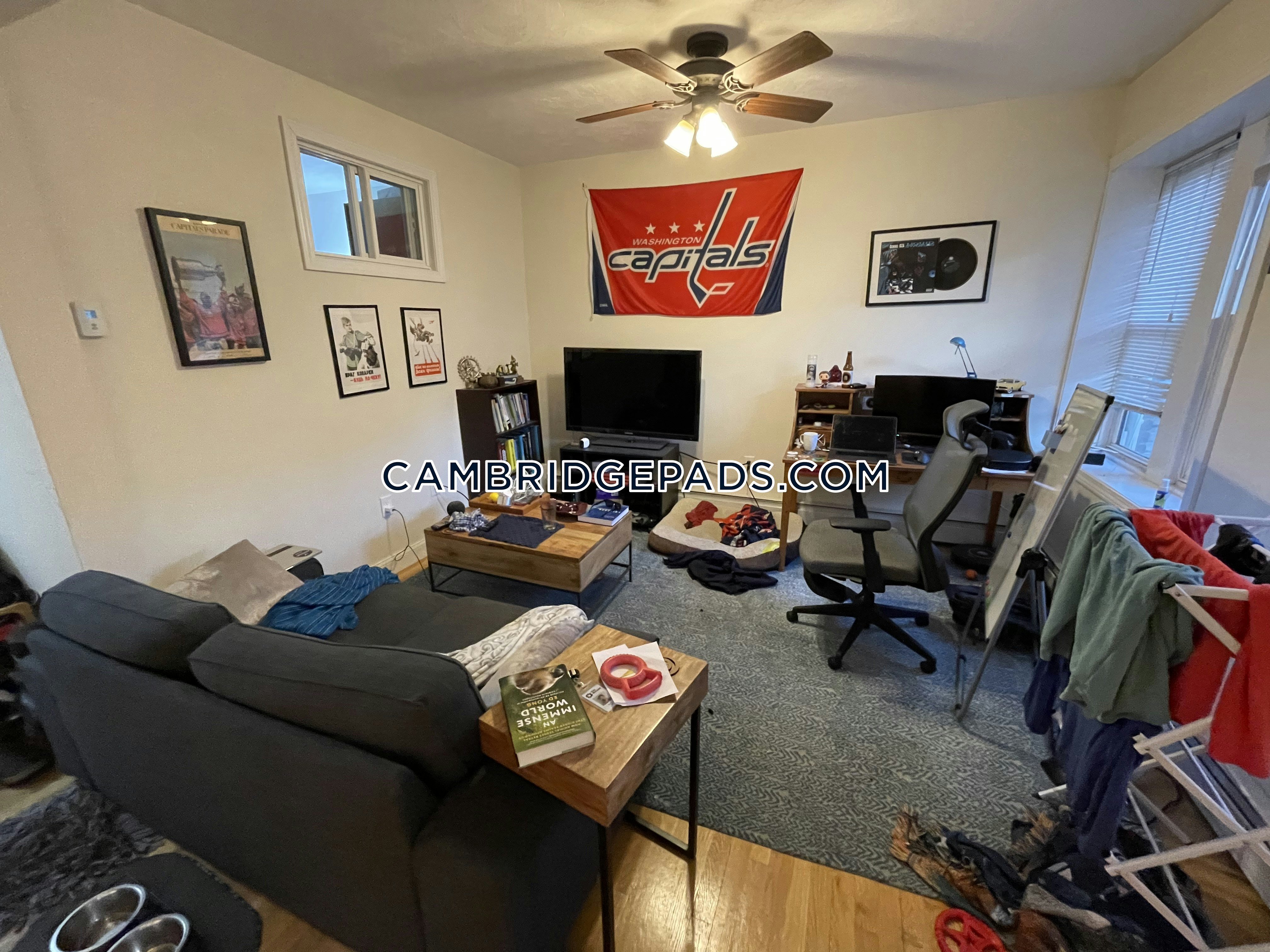 Cambridge Apartment for rent 1 Bedroom 1 Bath Inman Square - $2,495